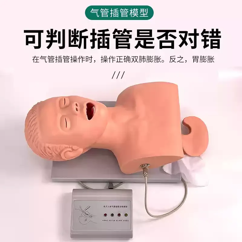 Adult-Intubation-Manikin-Study-Teaching-Model-Airway-Management-Trainer ...