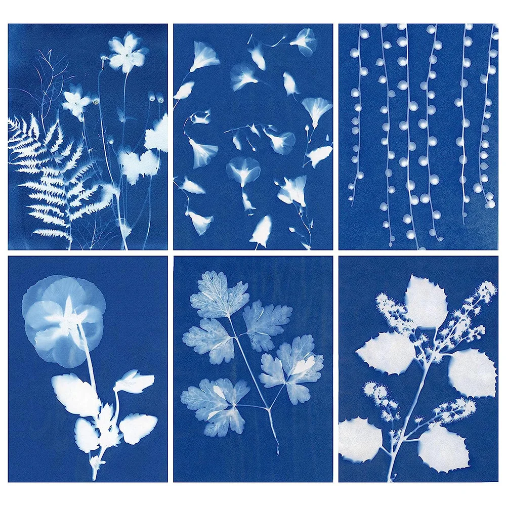 10-Sheets-Sun-Print-Paper-Cyanotype-Paper-A5-Solar-Drawing-Paper ...