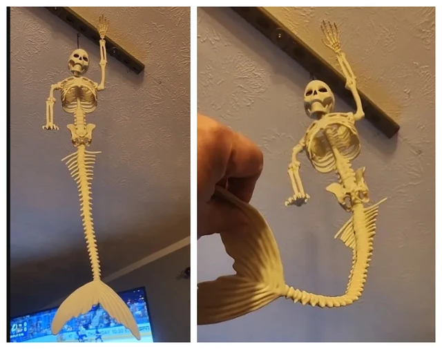 Mermaid Real Life Skeleton