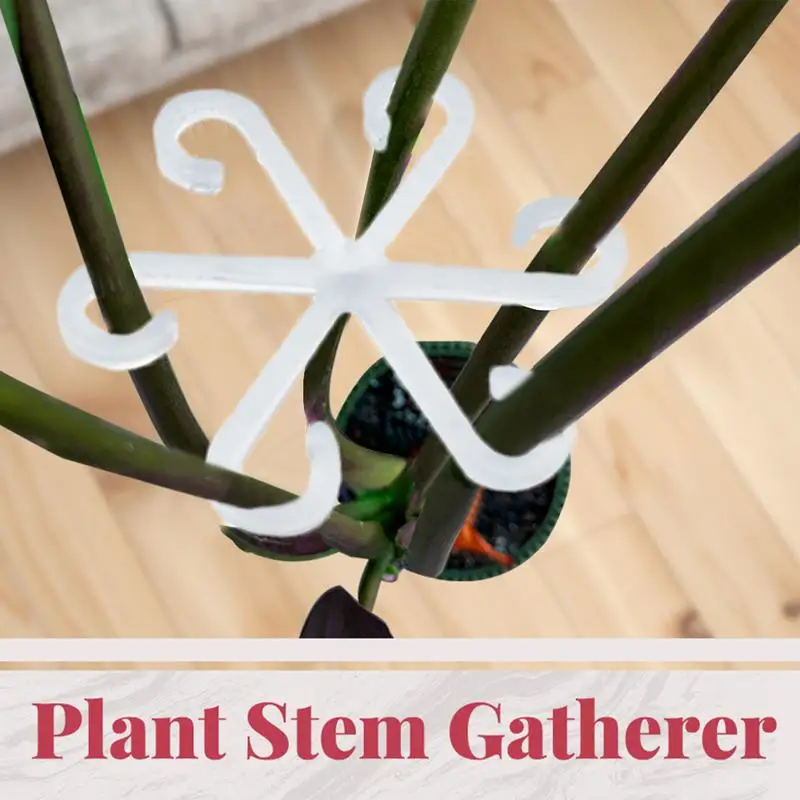 Stem-Holders-For-Plants-Climbing-Houseplant-Stem-Supports-4PCS-Vine ...