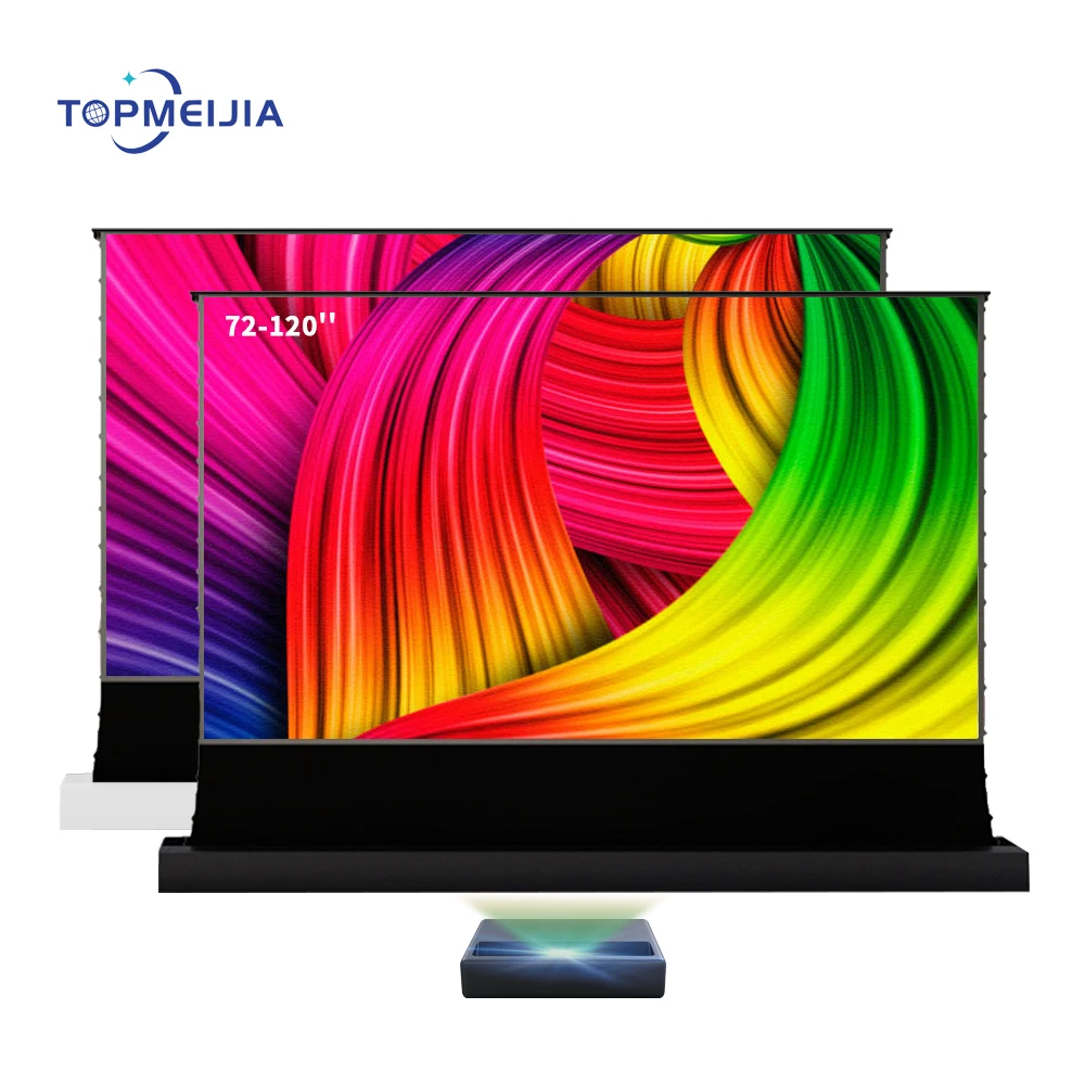 Computer Screen Projectors