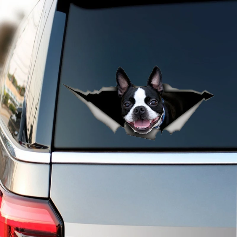 1pc-Boston-Terrier-Decal-Dog-Car-Stickers-Vinyl-Decals-Animal-Auto ...