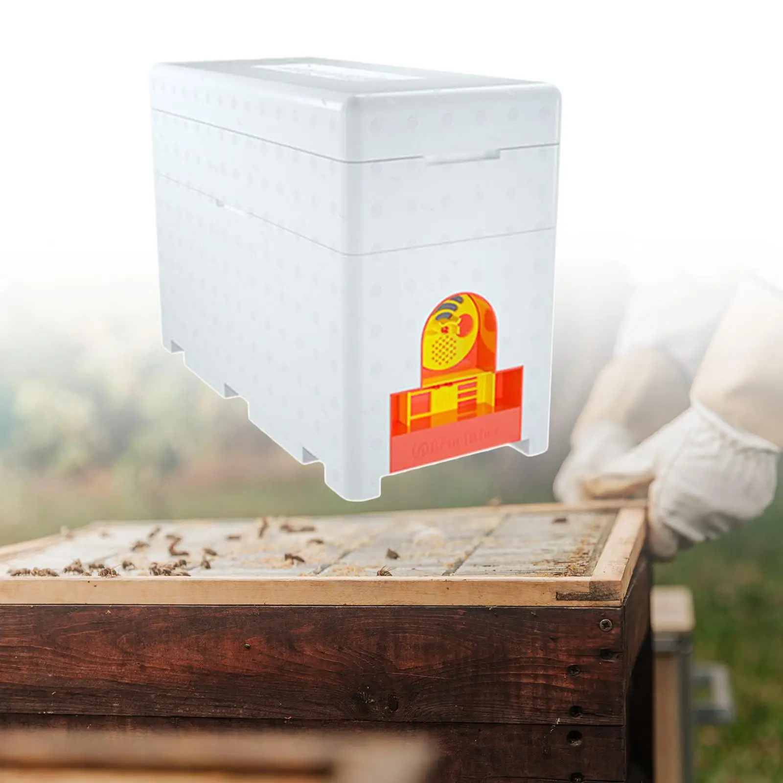 Caja-de-aparejo-de-abejas-caja-de-apicultura-colmenas-cr-a-al-aire ...