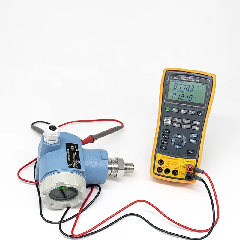 4-20mA-Multifunction-Process-Calibrator-ETX-2025-Pt100-Thermocouple ...