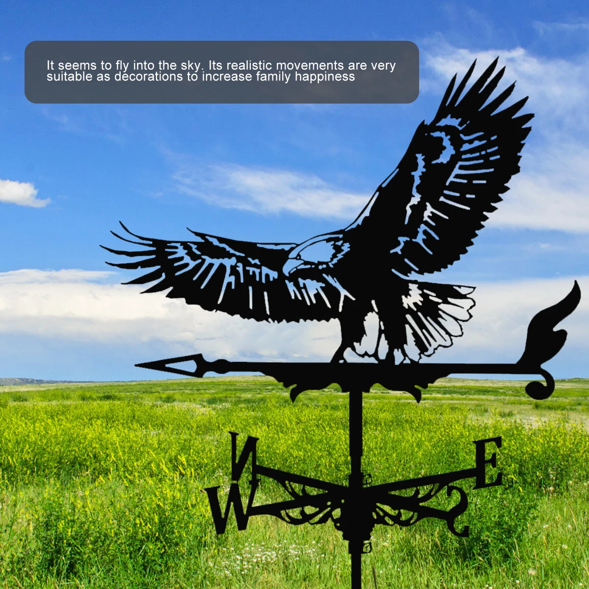 Eagle Wings Silhouette