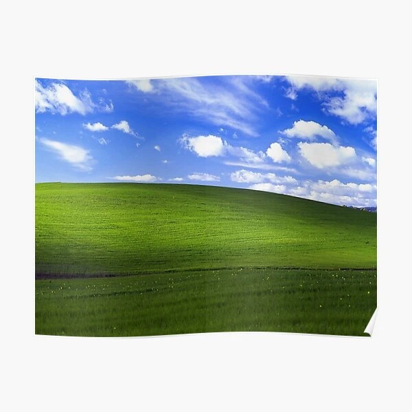 Funny Bliss Wallpapers