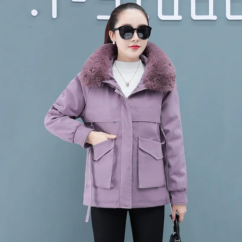 Pie Overcomes Cotton Padded Clothes, Winter Plush And Thickened Cotton ...