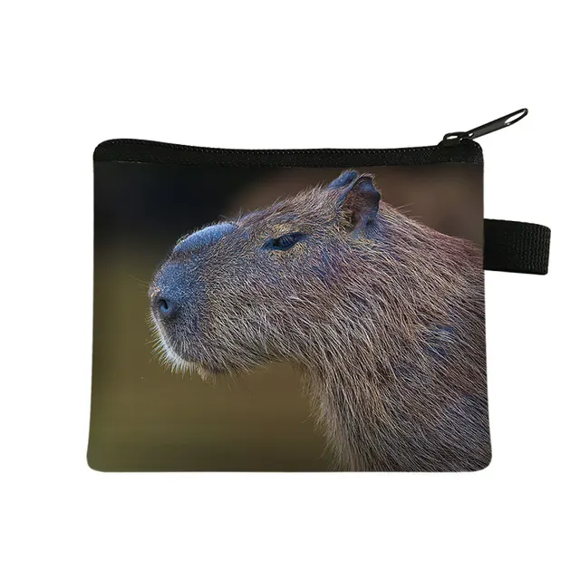 Animal Capybara Printing Coin Purse Women Wallets Credit Card Key ...