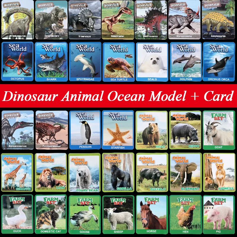 Different Types Of Animals In The World