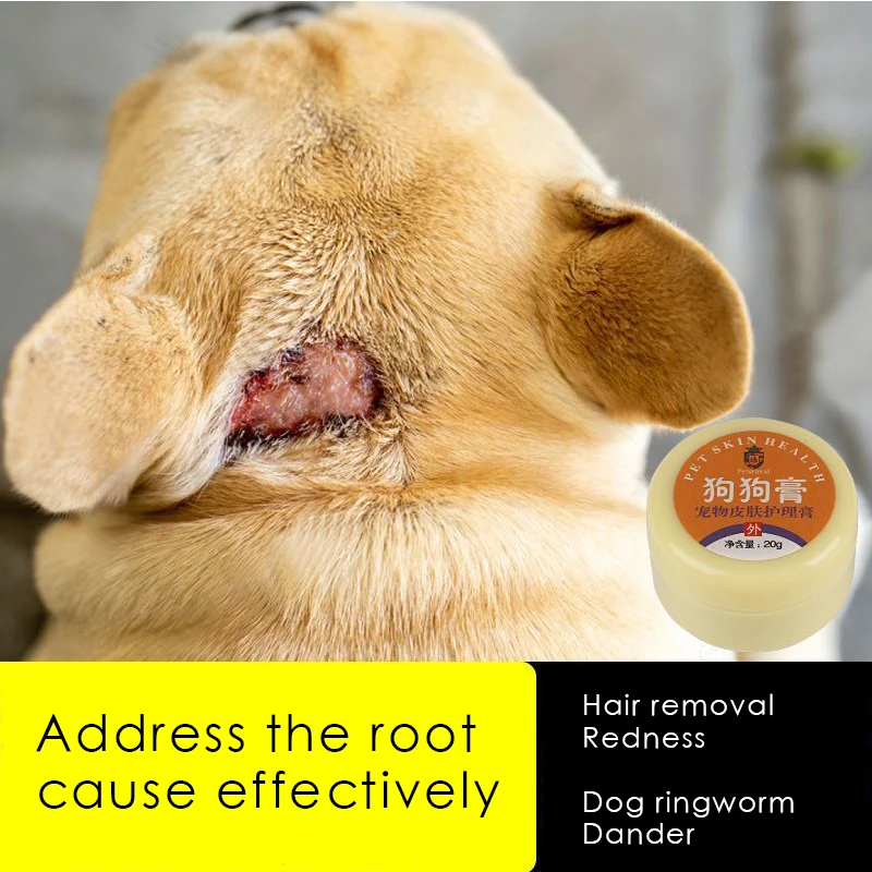 How To Treat Ringworm In Dogs | lupon.gov.ph