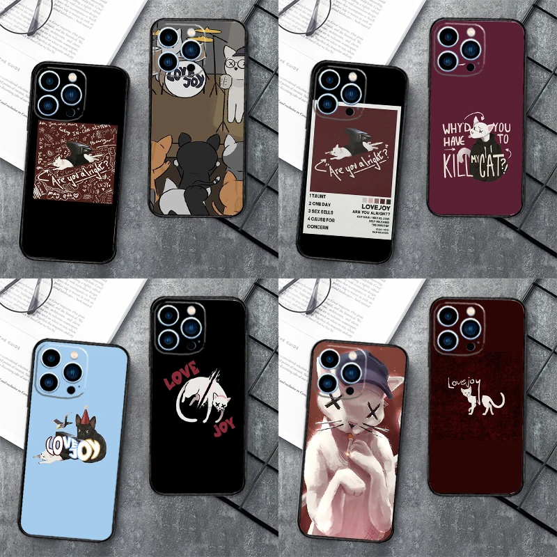 Lovejoy Cat Are You Alright Soft Phone Case For iPhone 16 15 11 12 13 ...