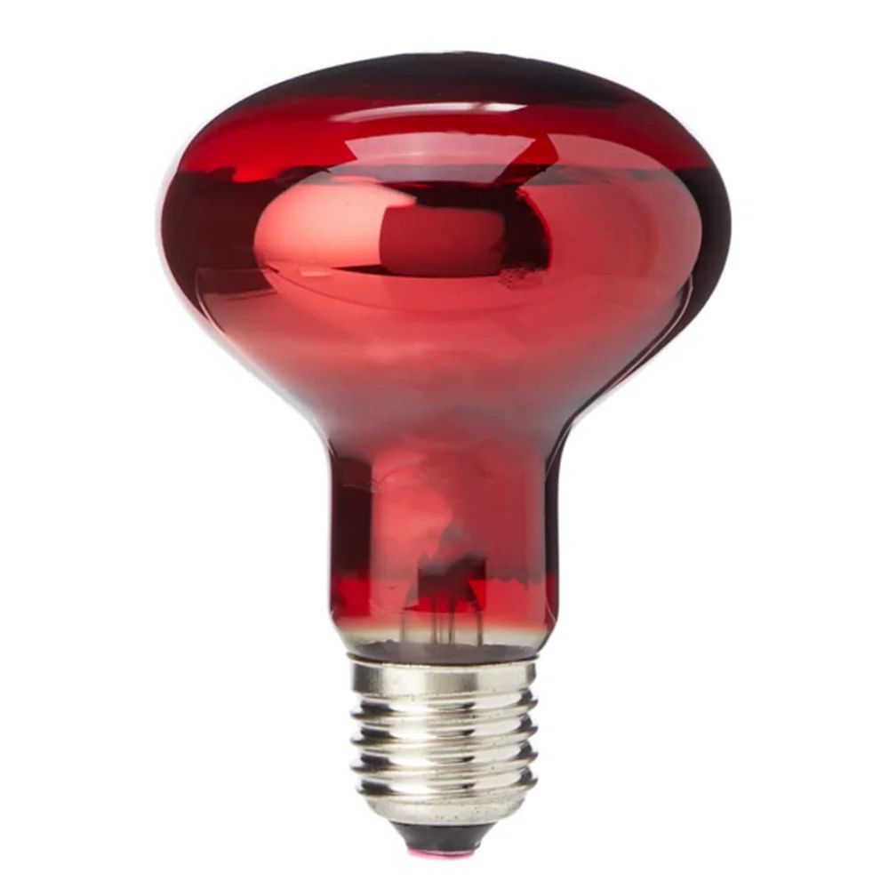 Reptile Infrared Heat Bulbs 100W Durable Heat Lamp 220-240V E27 ...