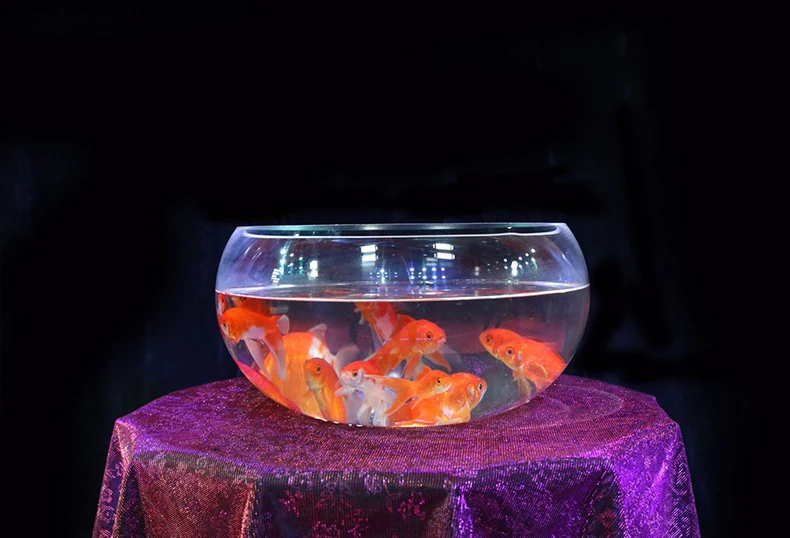 Appearing Goldfish Gimmick ( Metal ) Magic Tricks Fish Appear Magia ...