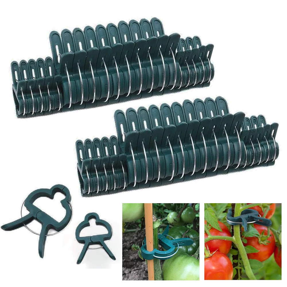 60Pcs-Plant-Fixing-Clips-Reusable-Greenhouse-Brackets-for-Fixing-Garden ...