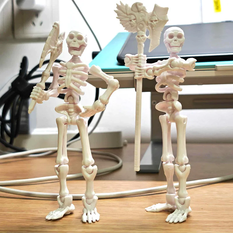 DIY 3D Skeleton Model: The Ultimate Hands-On Anatomy Experience for ...