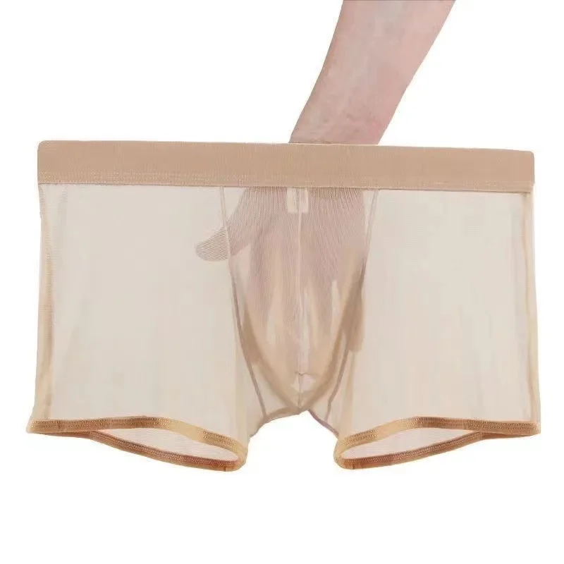 Sexy-Men-Mesh-Thin-Transparent-Boxer-Briefs-U-Convex-Pouch-Underwear ...