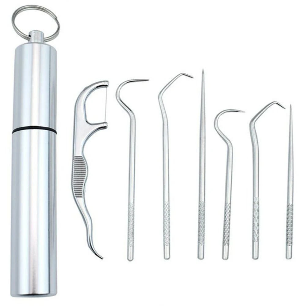 Stainless Steel Oral Cleaning Tools | Stainless Steel Toothpick Set - 1 ...