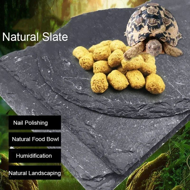 Natural-Slate-Aquarium-Pet-Reptile-Feeder-Bowl-Basin-Food-Water-Pot ...