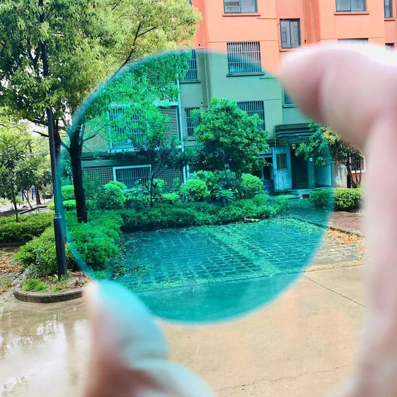 Multiple Sizes Diameter 69mm Round Blue Filter Glass BG39 QB39 For ...
