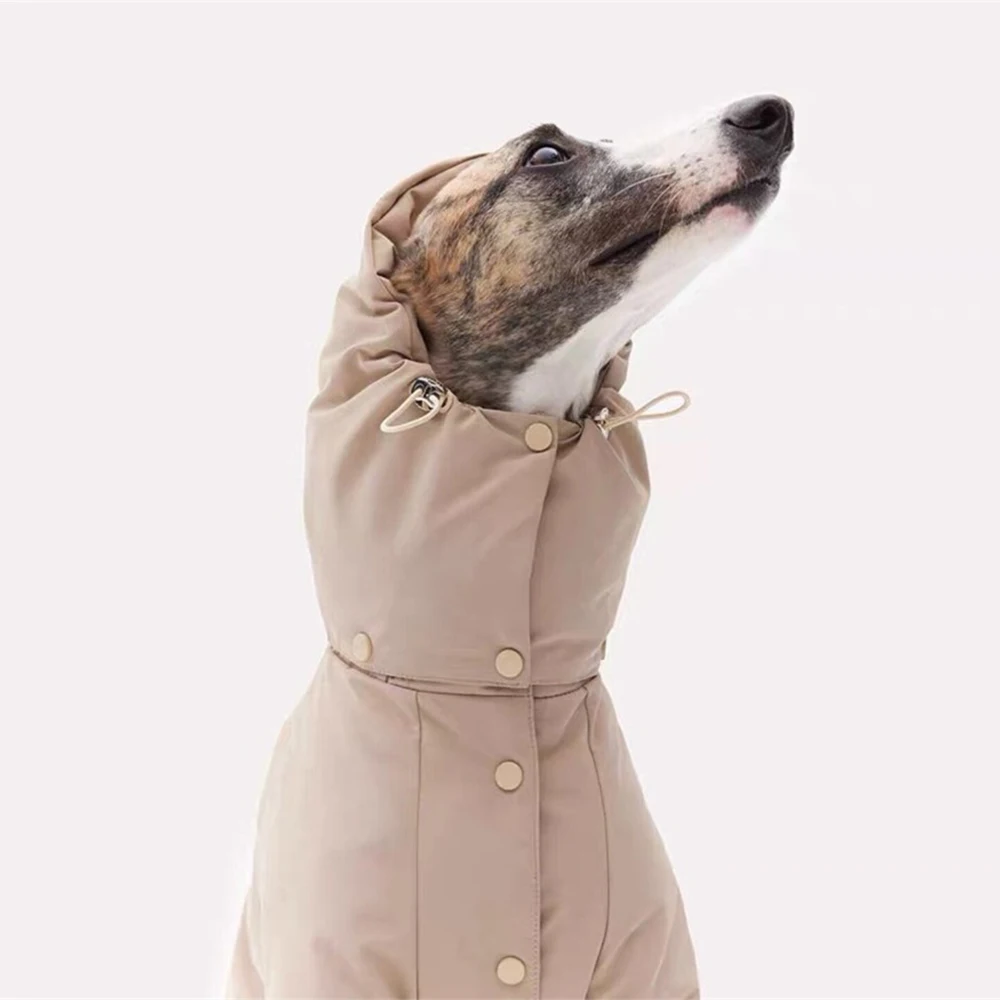 Pet-Supplies-Custom-New-Designer-Winter-Down-Coat-Italian-Greyhound ...