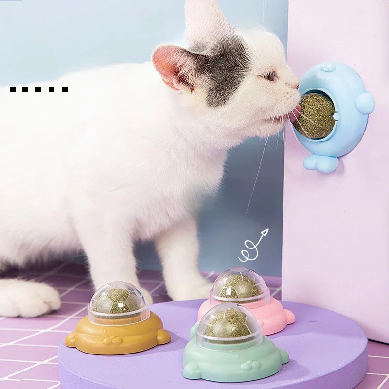 Cat-Snacks-Catnip-Licking-Teeth-Cleaning-Chewing-Digestive-and ...