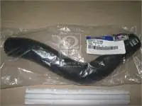 254111-J100-for-radiator-top-hose-I20-fator-ACCENT-BLUE-1-4-1-6-GAMMA ...