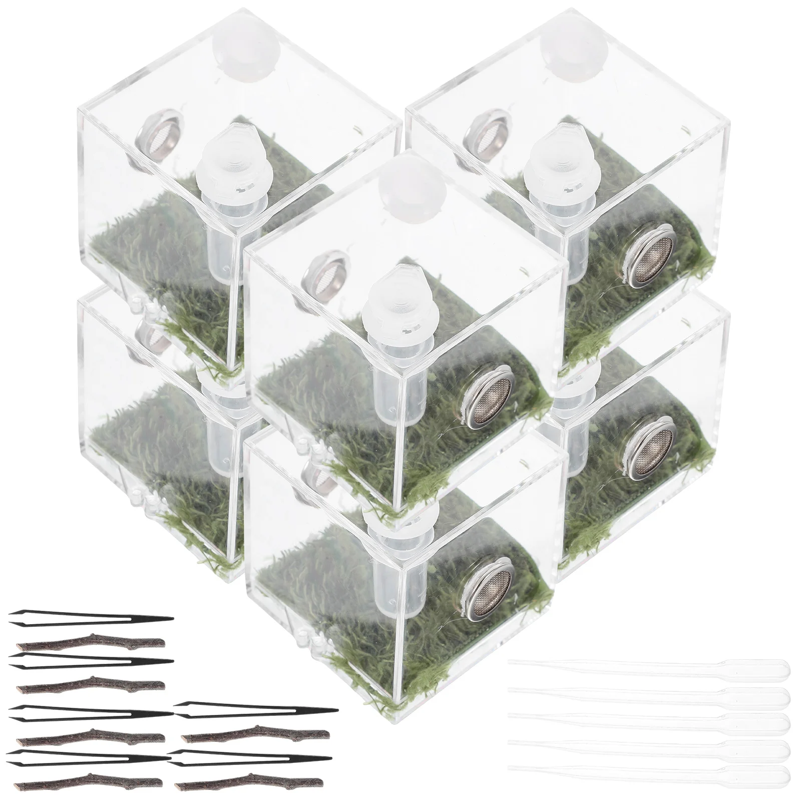 1-Set-of-Transparent-Jumping-Spider-Enclosure-Acrylic-Snail-Container ...