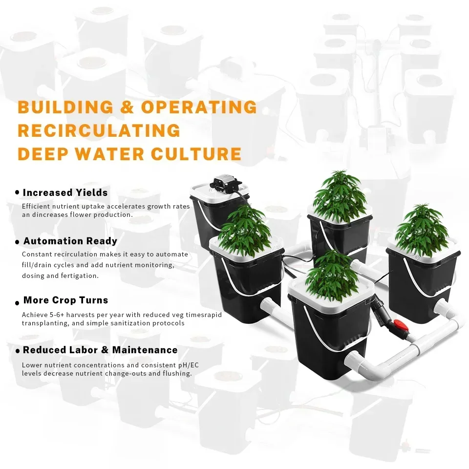 Recirculating Deep Water Culture Diagram