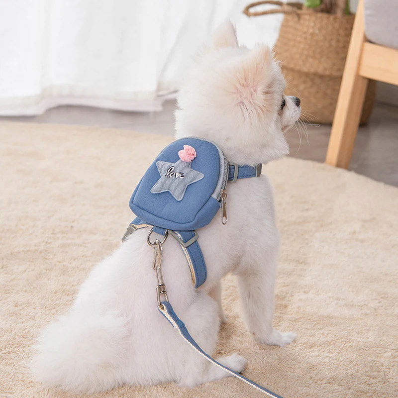 Cute Walking Backpack For Dogs – DogMega.Com