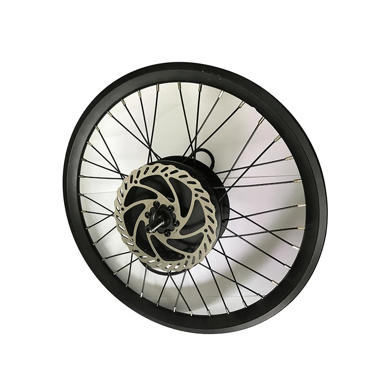 HIMO-ACCESSORY-HIMO-Z20-36V-250W-MOTOR-REAR-WHEEL-E-BIKE-CONVERSION-KIT ...