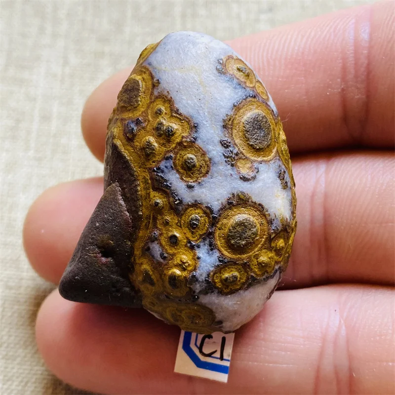 Natural Gobi stone mineral specimen water gem healing family hall home ...