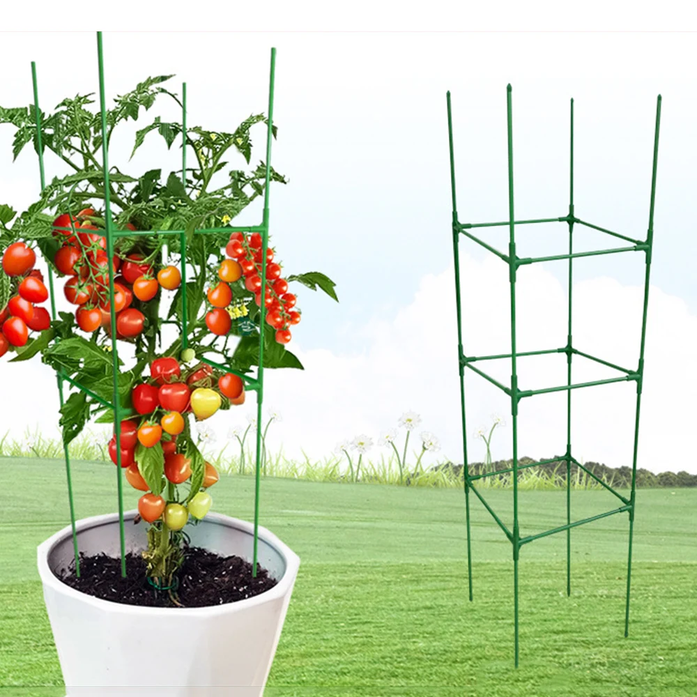 Tomato Plants Cages