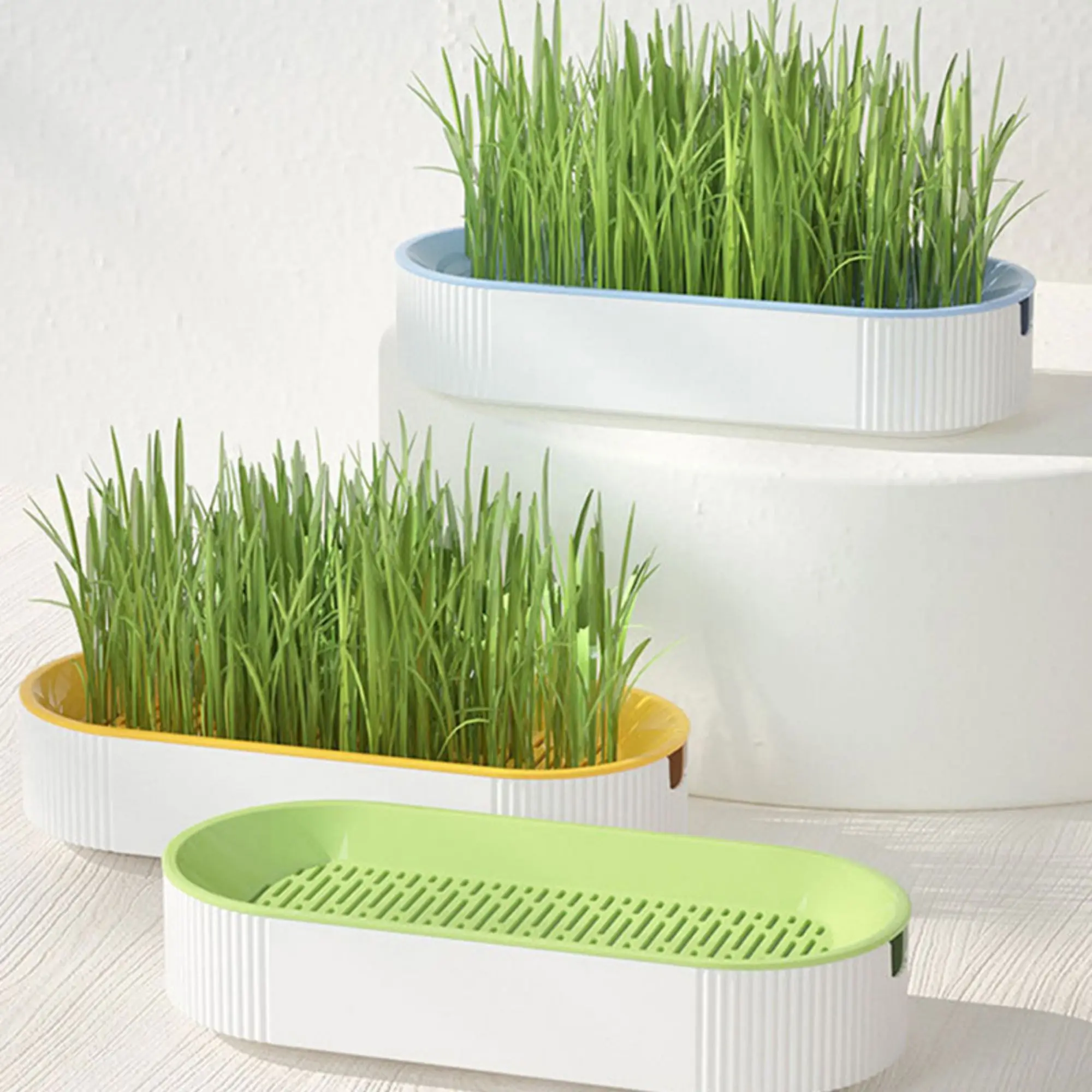 1PC-Without-Seeds-Cat-Grass-Planting-Box-Planting-Hydroponics-Box ...