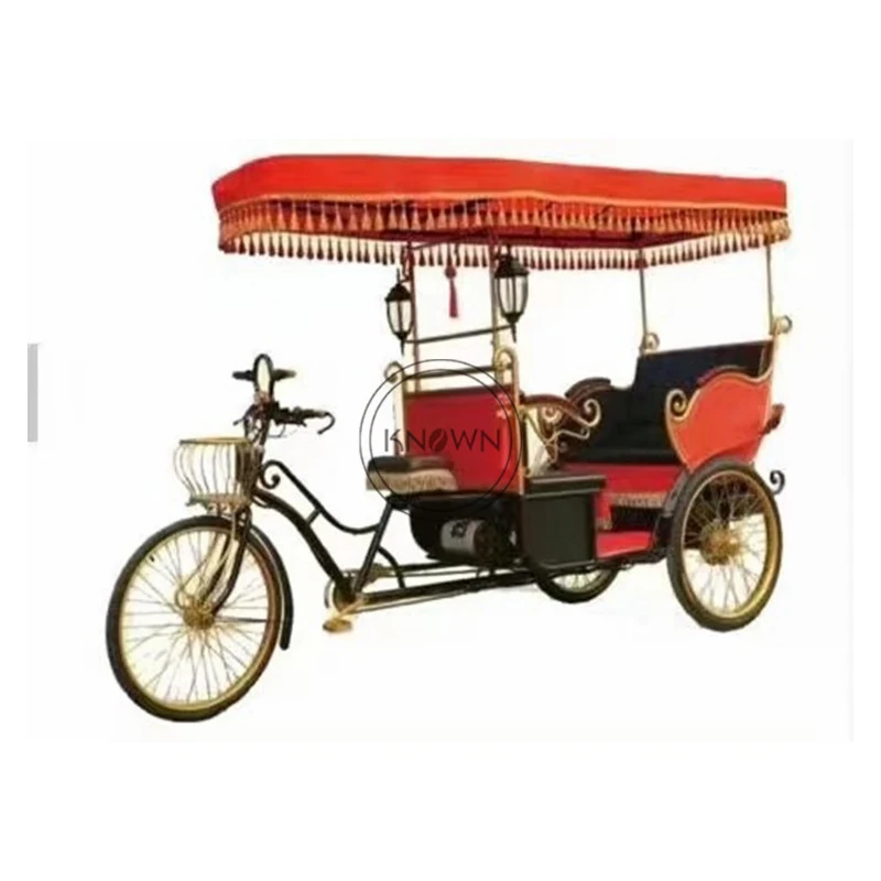 High-Quality-Pedicab-Rickshaw-Electric-Pedal-Three-Wheels-Dutch-Cargo ...