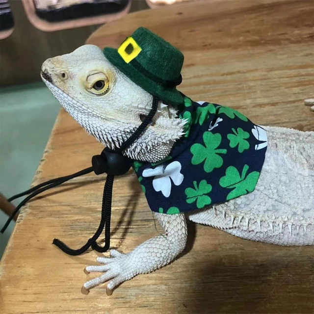 Bearded Dragon Costumes