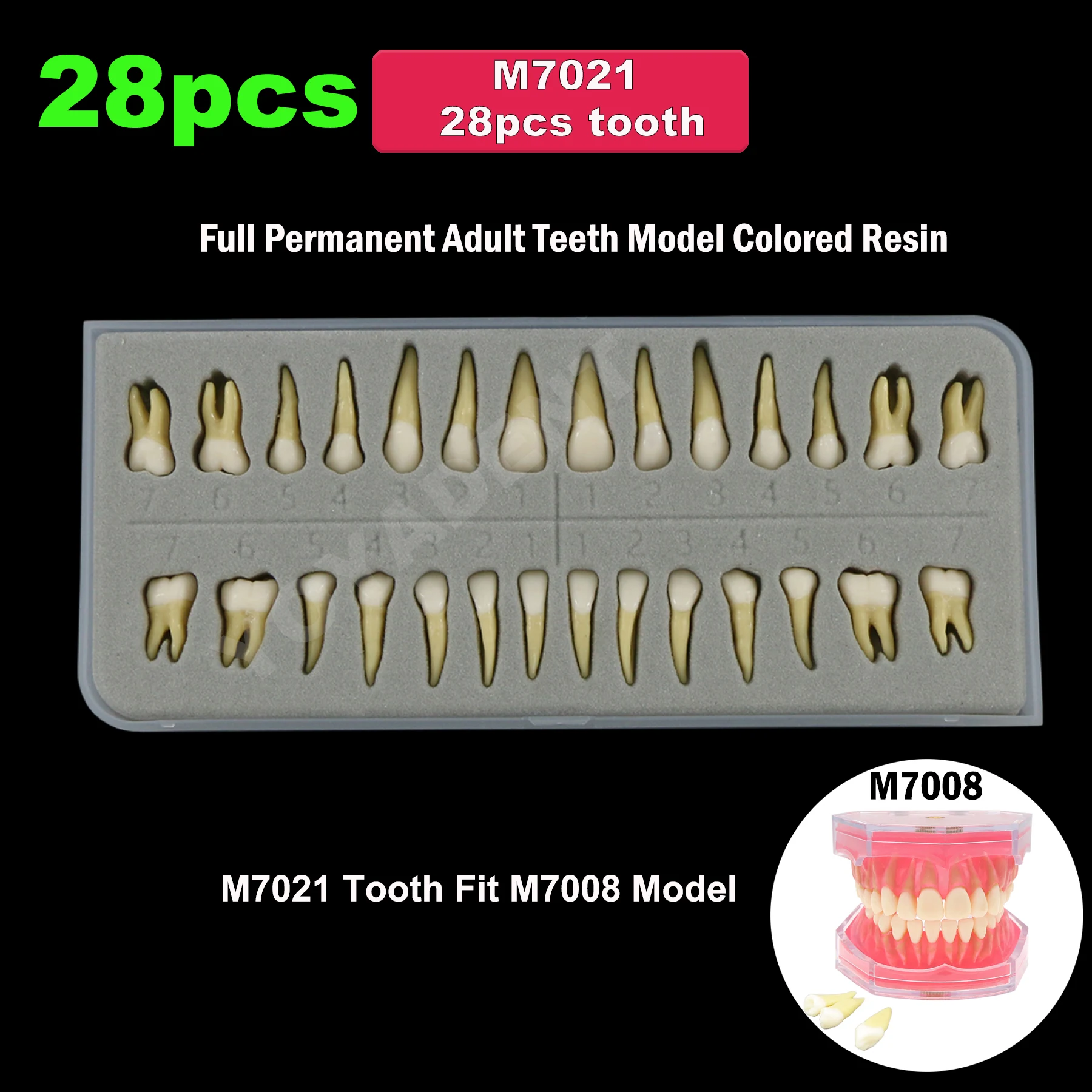 S36e97bd819774ab2b125cf9649eeae9eX.jpg