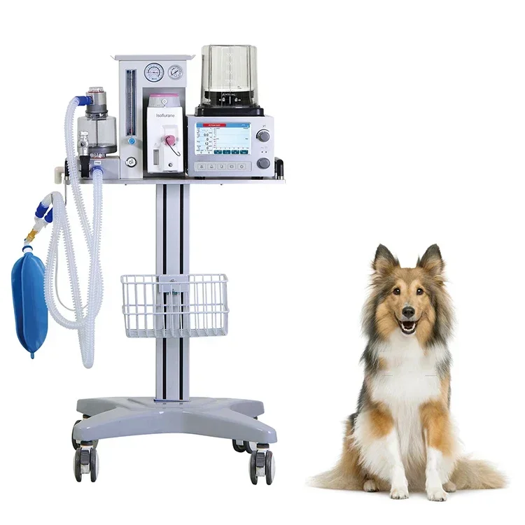 Medical-veterinary-gas-anesthesia-machine-vet-anesthesia-equipments-for ...