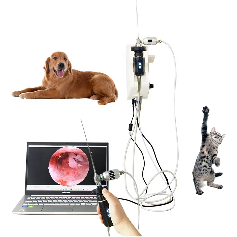 C-mara-endosc-pica-Hd-para-veterinaria-endoscopio-Digital-Flexible-con ...