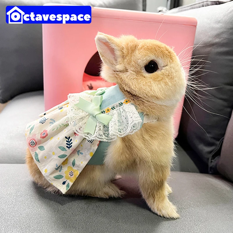 Bunnies In Sweaters