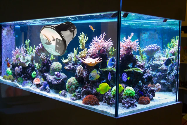 Auto Top Up Marine Tank New Aquarium Fish Tank Auto ATO Automatic Top ...