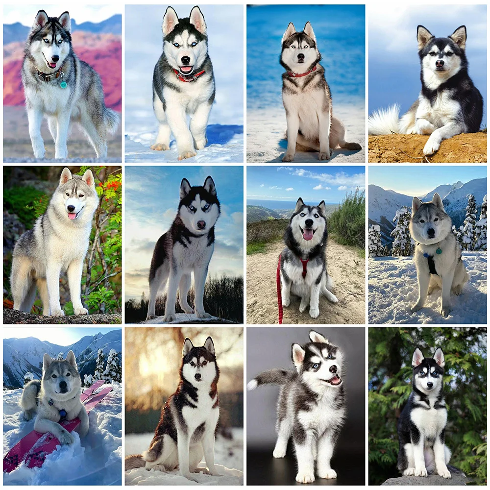 EverShine Diamond Painting Dog Full Square Diamond Embroidery Husky ...
