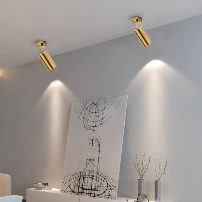 Golden-Black-Rotatable-Led-Ceiling-Light-Angle-Adjustable-Showcase-Lamp ...