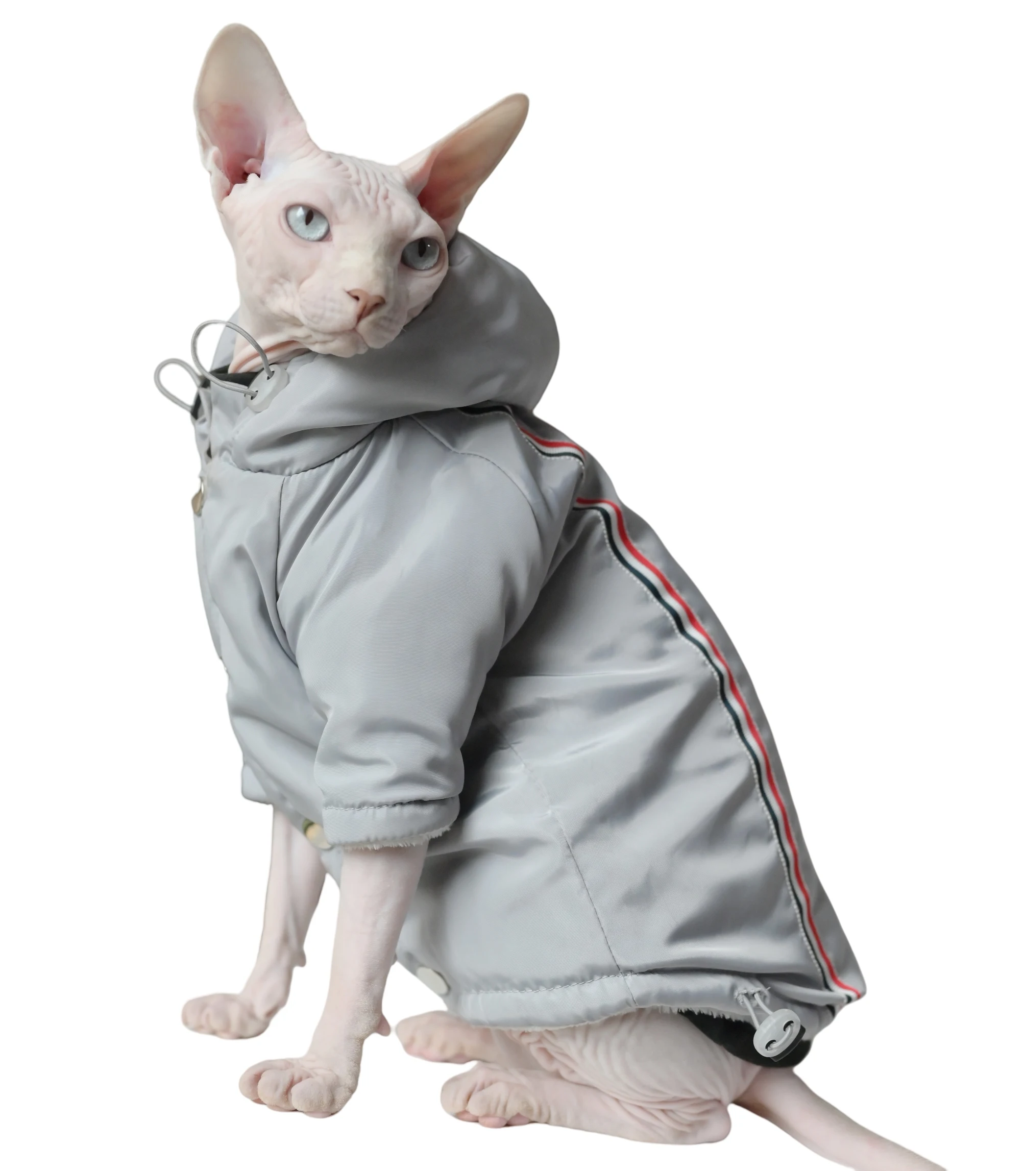 Winter Double Layer Thickened Warm Coat for Hairless Cats, Windproof ...