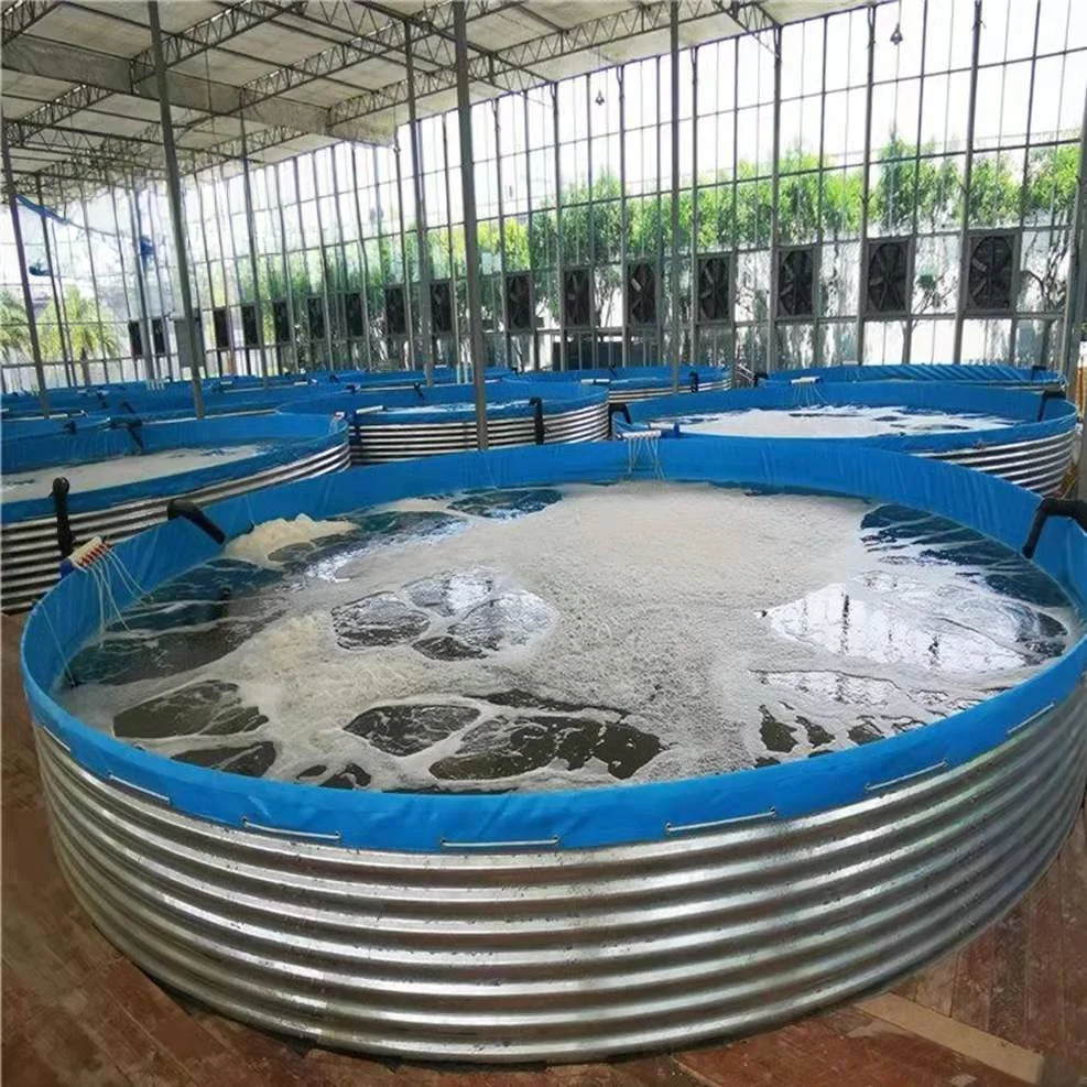 Indoor Fish Farming Equipment RAS Indoor Fish Farming Project Supplier
