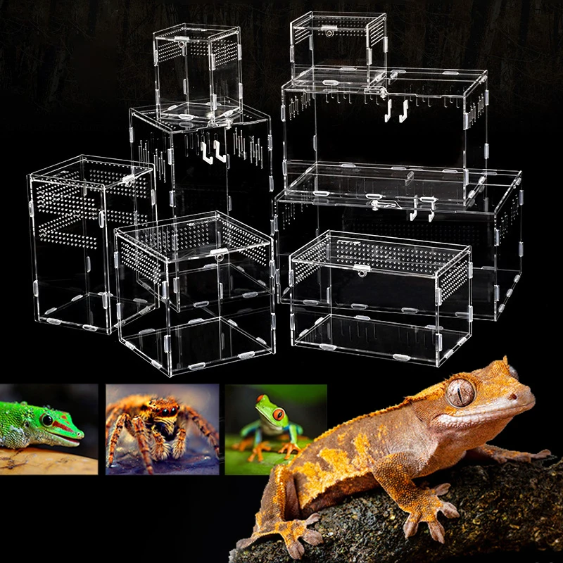 Acrylic Reptile Breeding Box,Climbing Pet Breeding Box Transparent ...