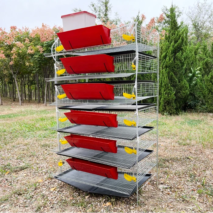 Quail Cage Partridge Enclosure, Raised Vertical Breeding System ...