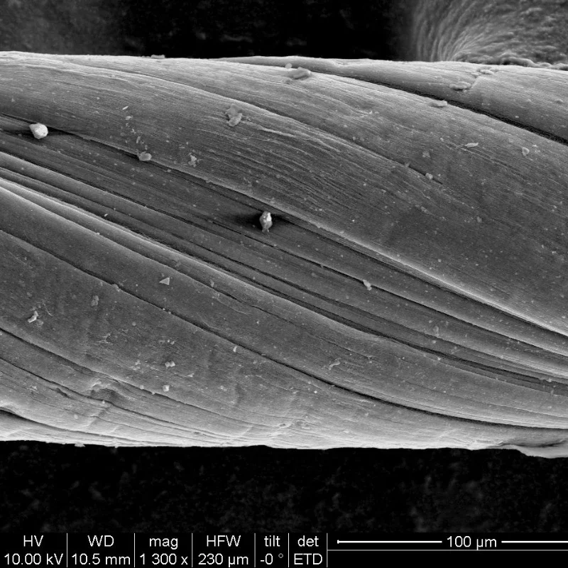 1M Carbon Nanotube Fiber Wire/filament with High Conductivity, Thermal ...