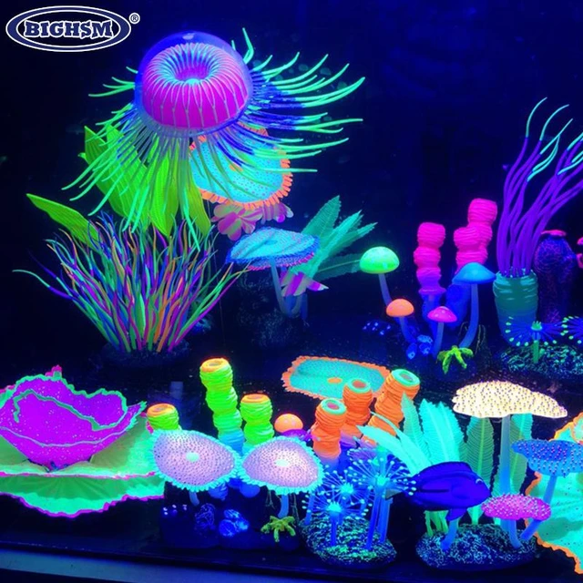 Glow In The Dark Fish Tank
