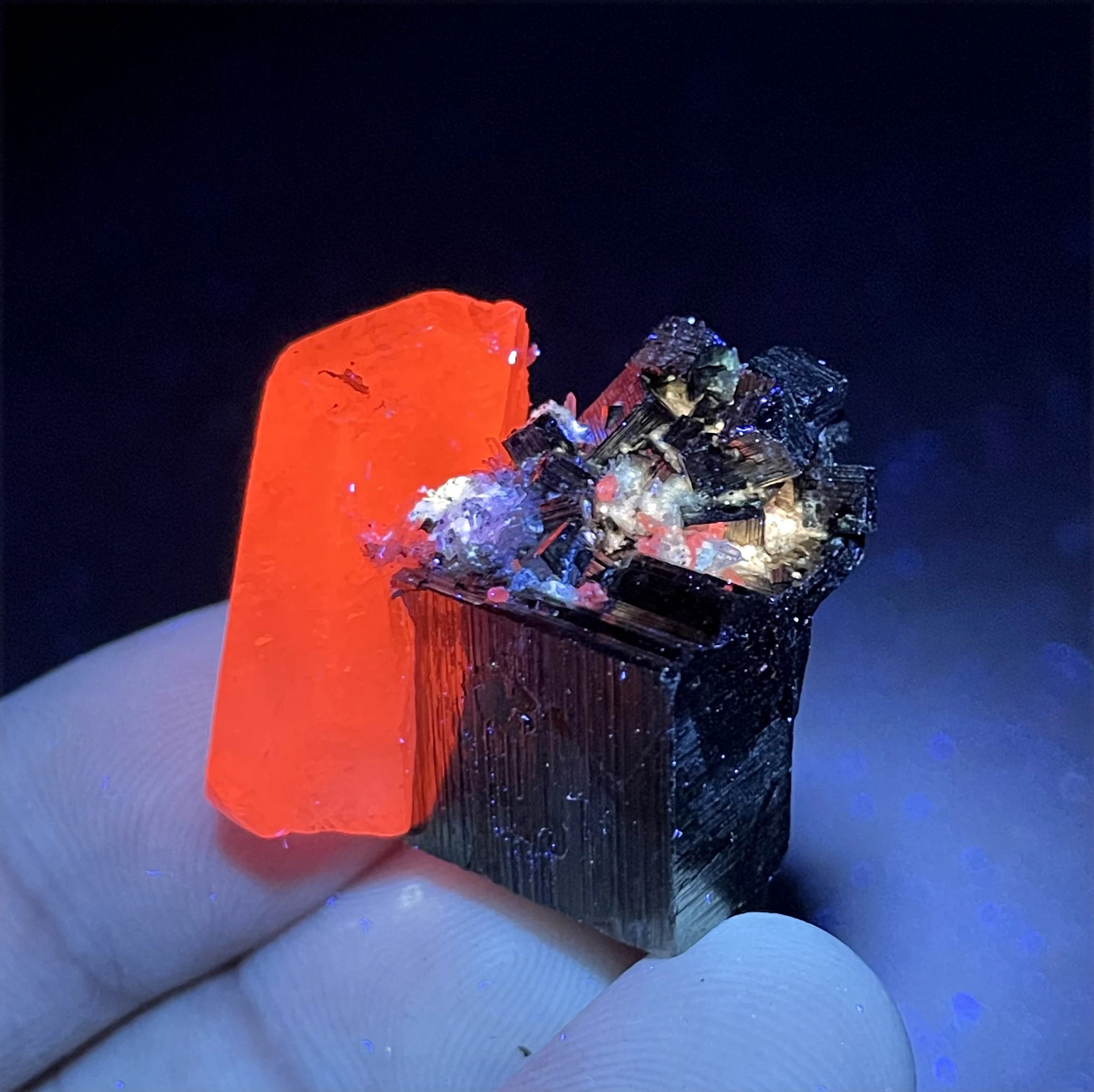 Store Home Products Outdoor Fun Feedback