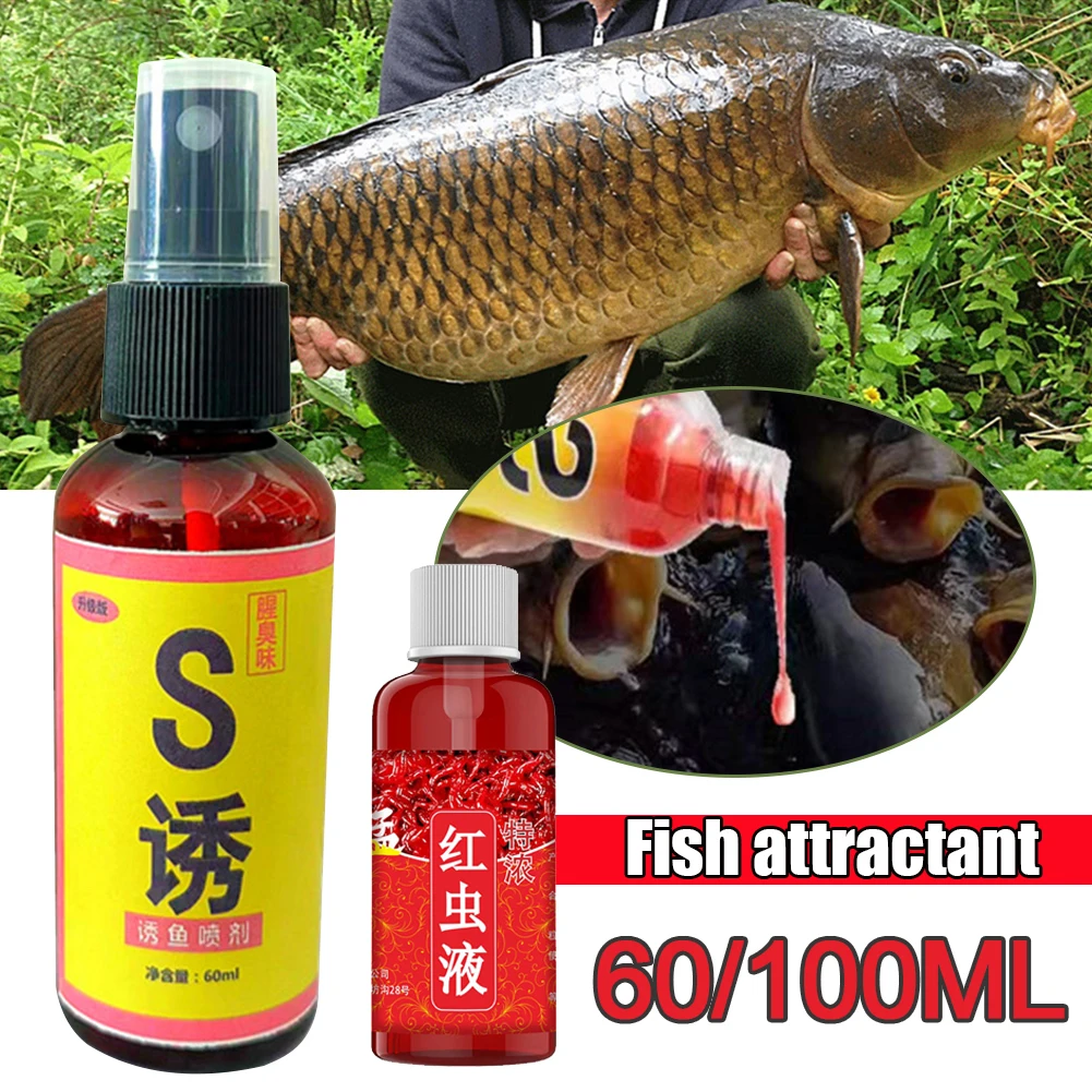 Carp Fish Bait